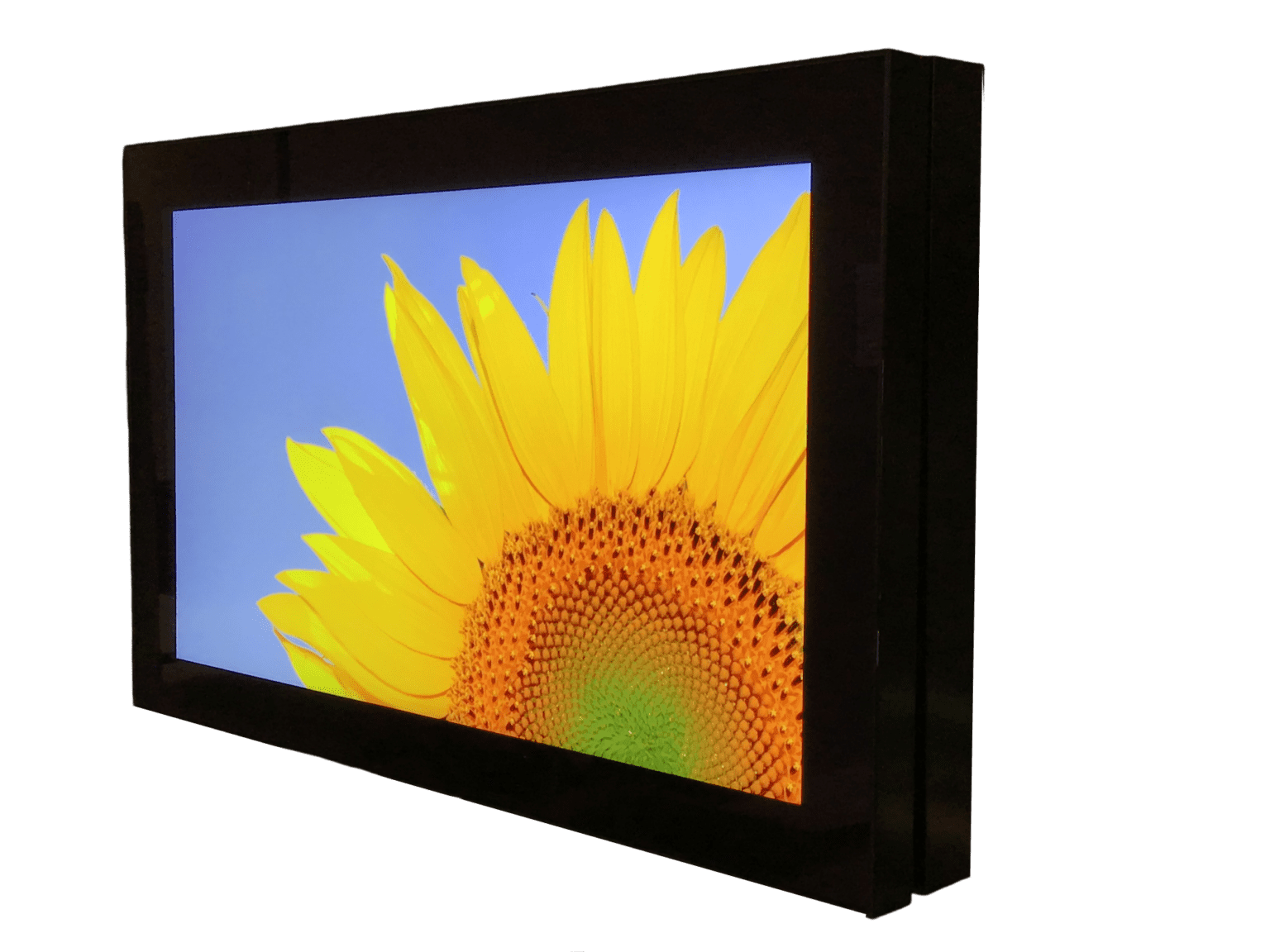 LCD Blackout | Causes and Prevention | MetroSpec